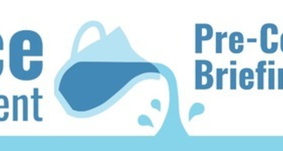 AC 25 Pre-Conference Briefing - Northern Illinois Annual Conference