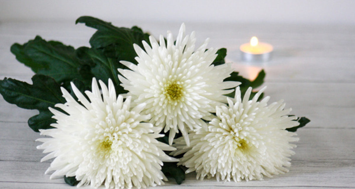 Sympathy Notice: Eric A. Hage - Northern Illinois Annual Conference