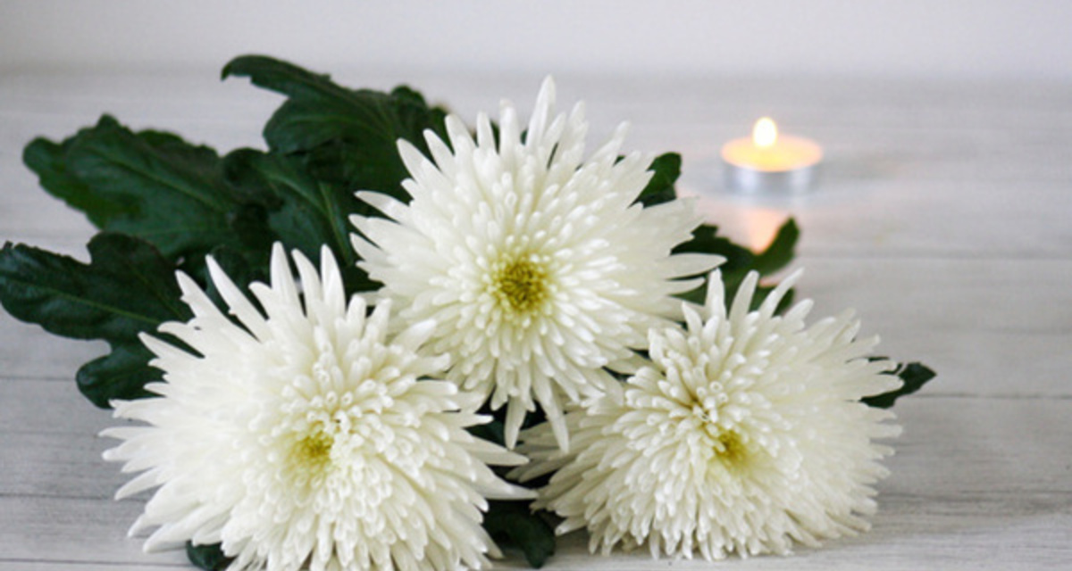 Sympathy Notice: Kay Dillard - Northern Illinois Annual Conference